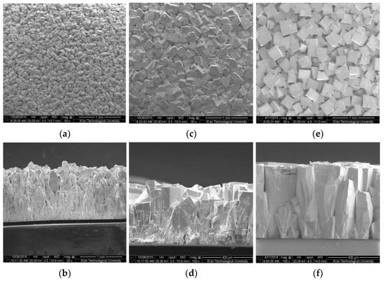 Evaluation of Relationship between Grain Morphology and Growth ...