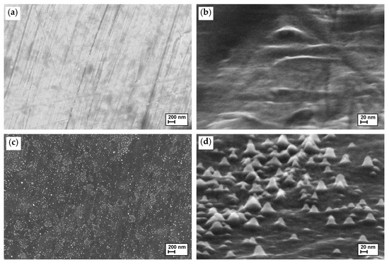 Variation of Surface Nanostructures on (100) PbS Single Crystals during ...