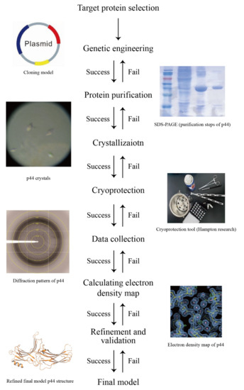 A Short Review on Cryoprotectants for 3D Protein Structure Analysis