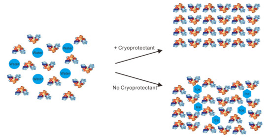 A Short Review on Cryoprotectants for 3D Protein Structure Analysis