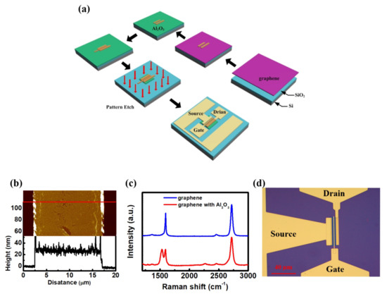 Electric-Field Induced Doping Polarity Conversion in Top-Gated ...