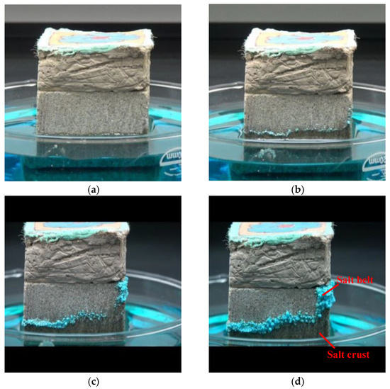 Study on the Visualization of Transport and Crystallization of Salt ...