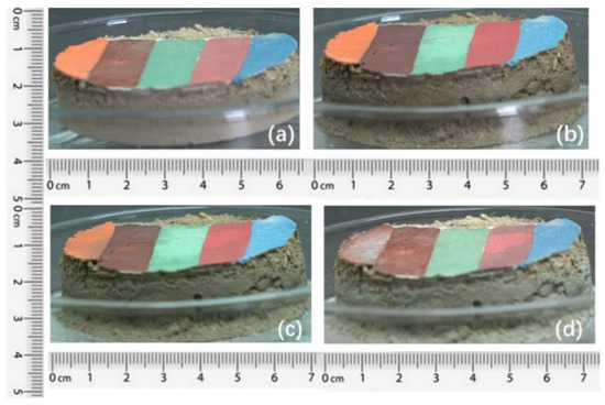 Study on the Visualization of Transport and Crystallization of Salt ...