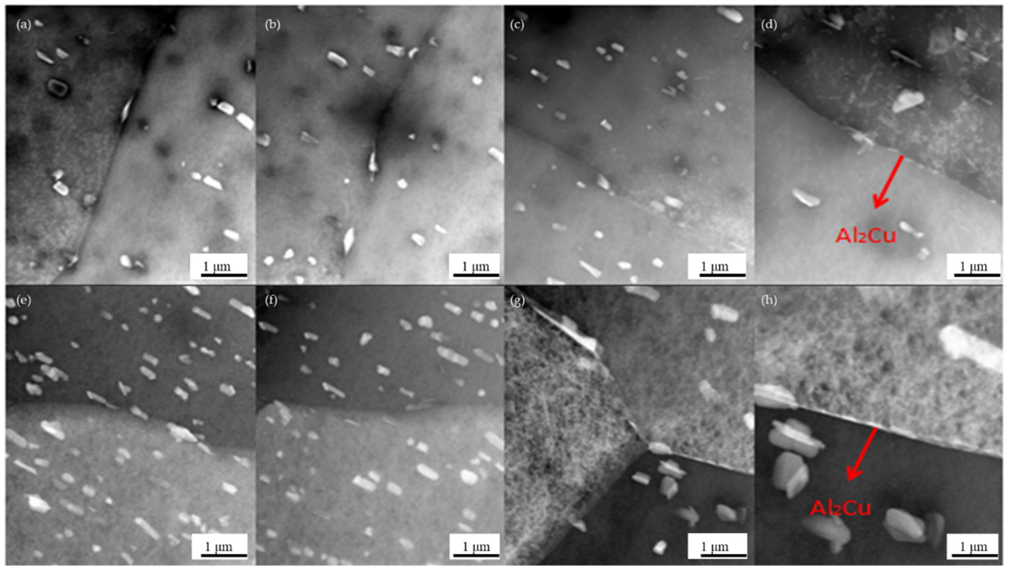 Microstructure and Its Effect on the Intergranular Corrosion Properties ...
