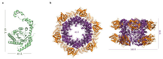 Exploring Nucleation Pathways in Distinct Physicochemical Environments ...