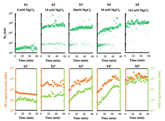 Exploring Nucleation Pathways in Distinct Physicochemical Environments ...