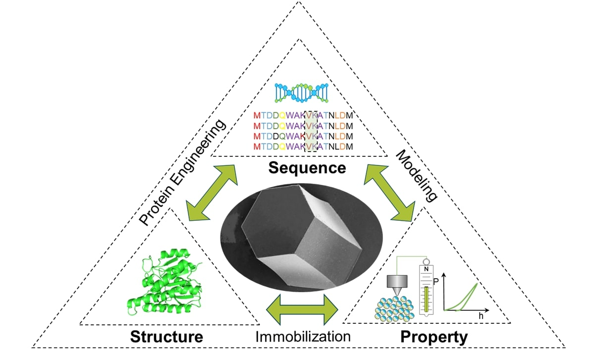 Crystals | Free Full-Text | Structure-Based Modeling of the Mechanical ...