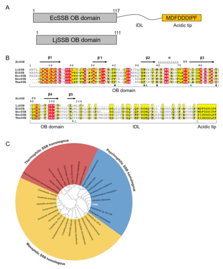 Identification, Characterization, and Preliminary X-ray Diffraction ...