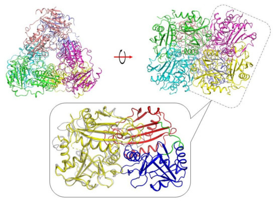 A Puzzling Protein from Variovorax paradoxus Has a PLP Fold Type IV ...