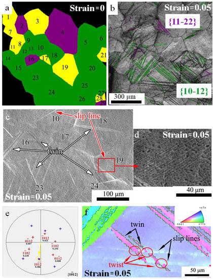 Revealing Microstructural Evolution and Deformation Mechanism of Pure ...