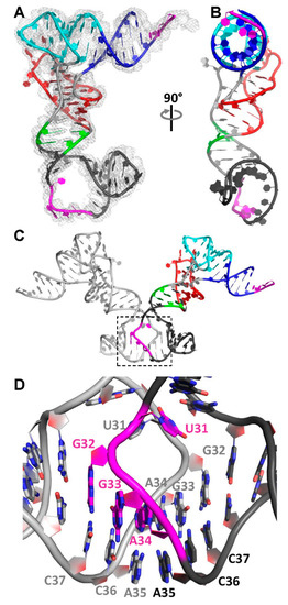 tRNA Fusion to Streamline RNA Structure Determination: Case Studies in ...