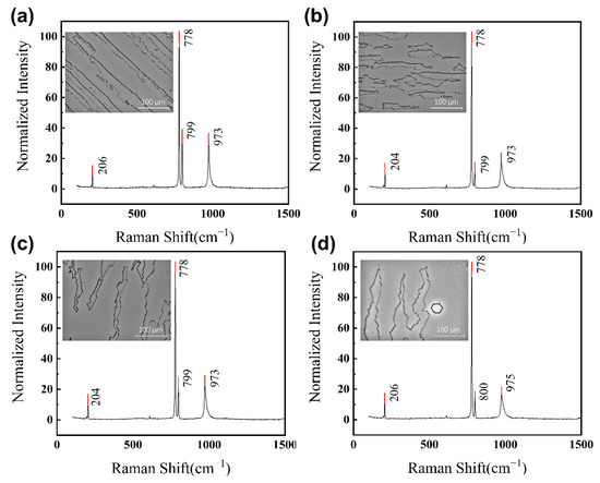 Investigation on Step-Bunched Homoepitaxial Layers Grown on On-Axis 4H ...