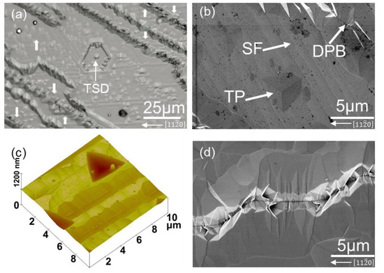 Investigation on Step-Bunched Homoepitaxial Layers Grown on On-Axis 4H ...