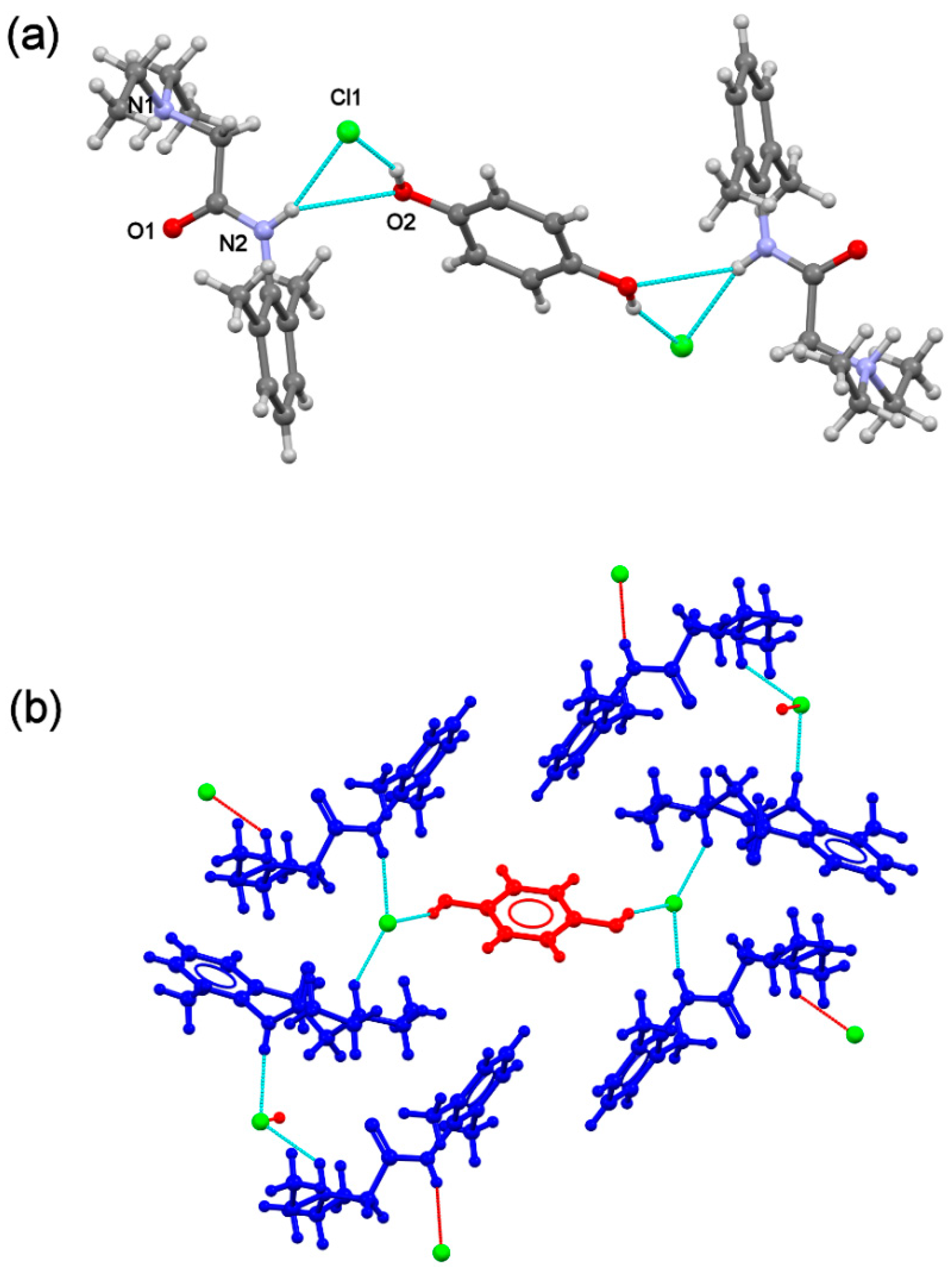 Lidocaine Pharmaceutical Multicomponent Forms: A Story about the Role ...