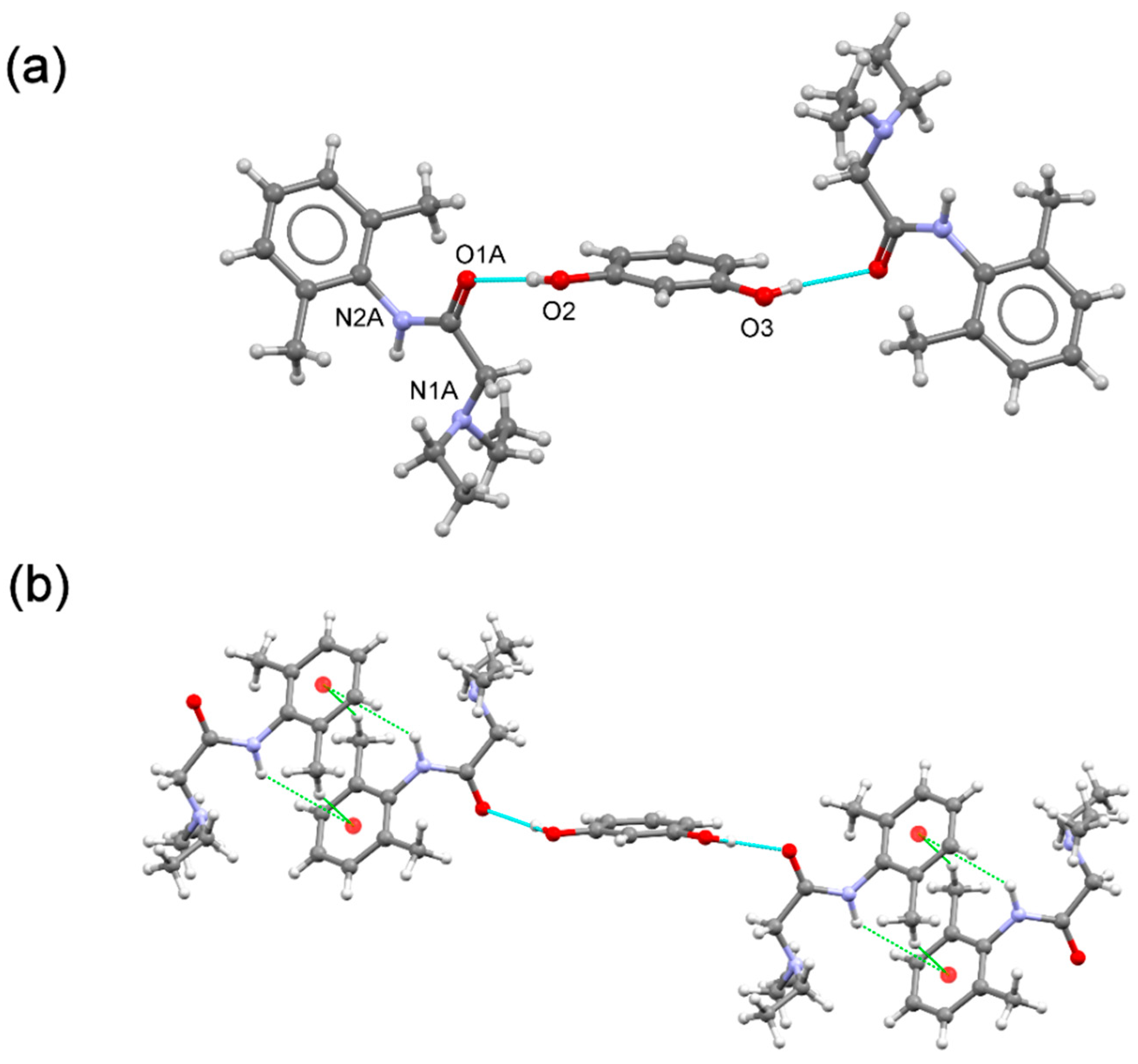 Lidocaine Pharmaceutical Multicomponent Forms: A Story about the Role ...