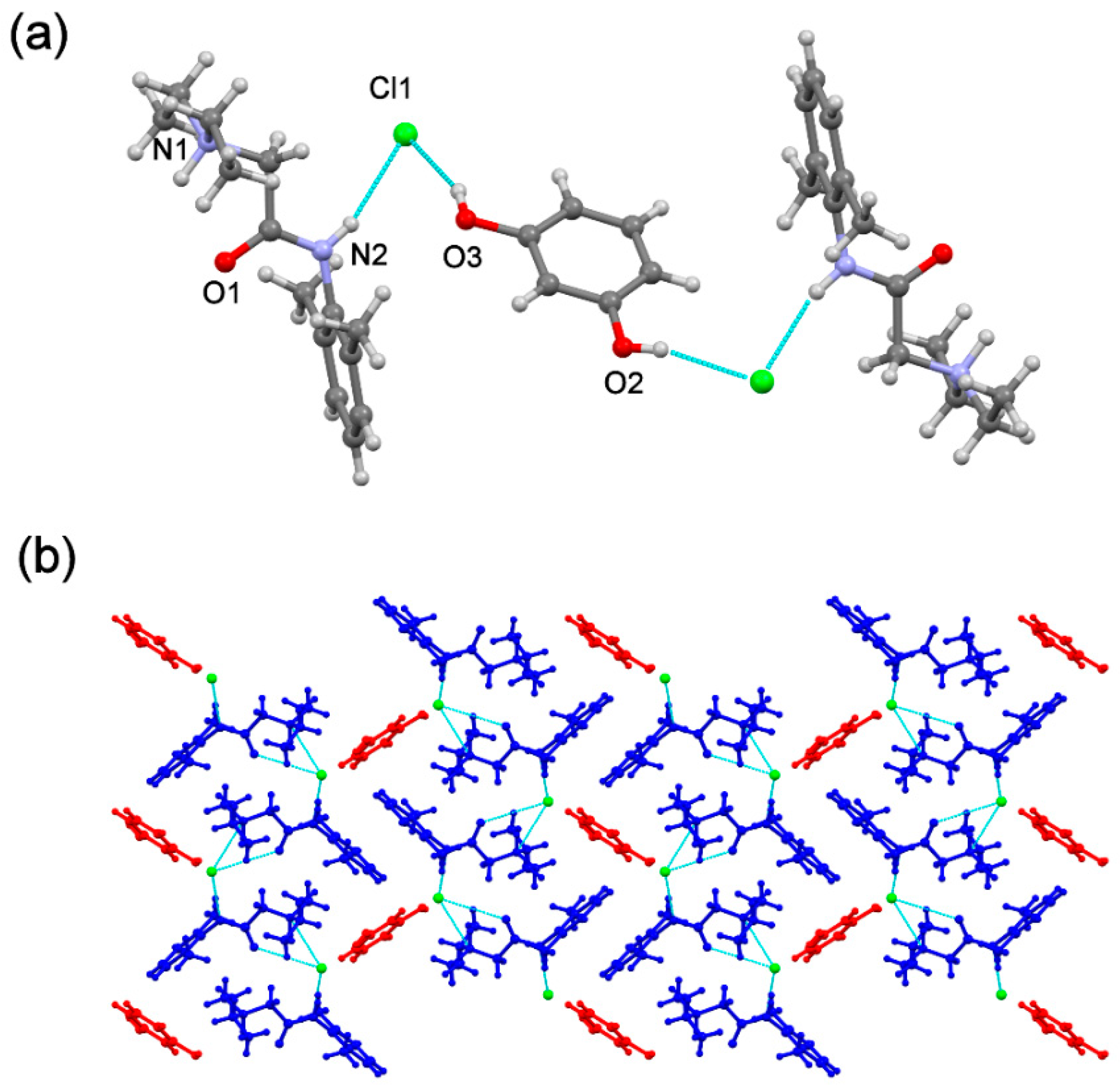 Lidocaine Pharmaceutical Multicomponent Forms: A Story about the Role ...