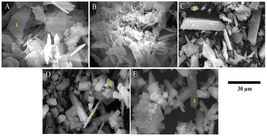 The Impact of Full-Scale Substitution of Ca2+ with Ni2+ Ions on ...