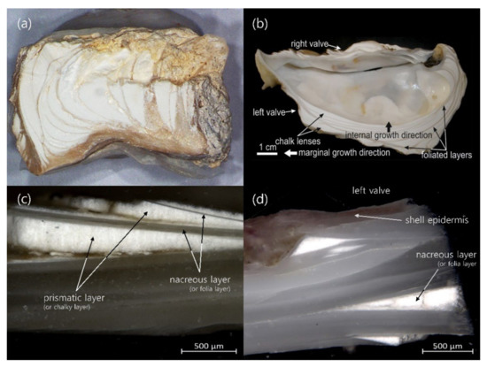Crystals | An Open Access Journal from MDPI