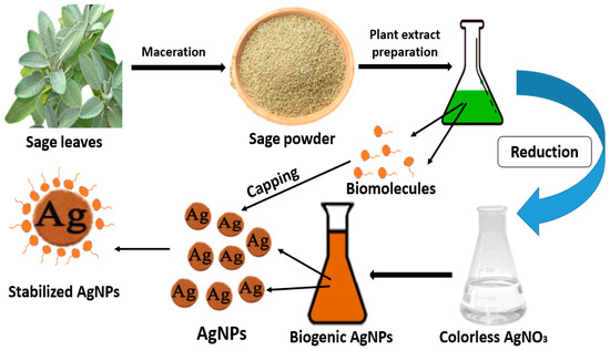 Synergistic Antibacterial Activity of Green Synthesized Silver ...