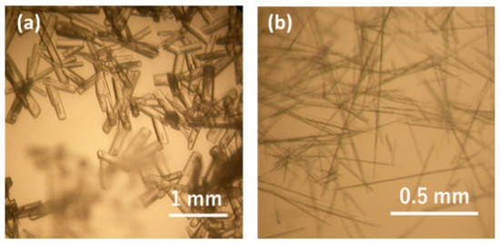 Metastable Crystallization by Drop Impact