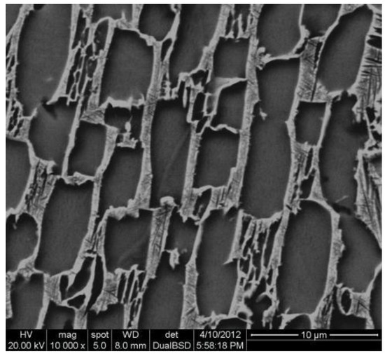 Low Cycle Fatigue Crack Damage Behavior of TC21 Titanium Alloy with Basketweave Microstructure