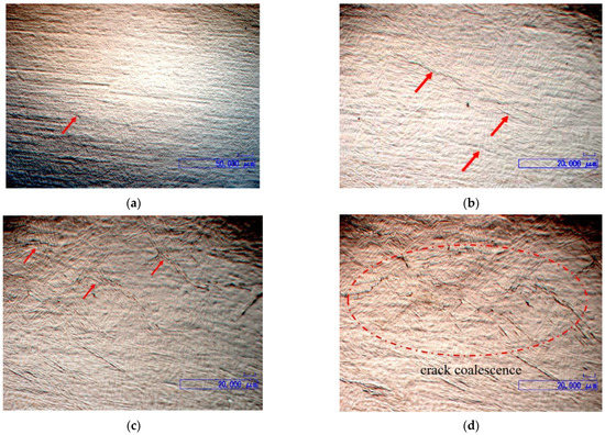 Low Cycle Fatigue Crack Damage Behavior of TC21 Titanium Alloy with Basketweave Microstructure