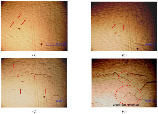Low Cycle Fatigue Crack Damage Behavior of TC21 Titanium Alloy with Basketweave Microstructure