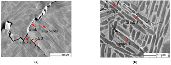 Low Cycle Fatigue Crack Damage Behavior of TC21 Titanium Alloy with Basketweave Microstructure