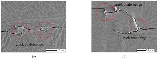 Low Cycle Fatigue Crack Damage Behavior of TC21 Titanium Alloy with Basketweave Microstructure