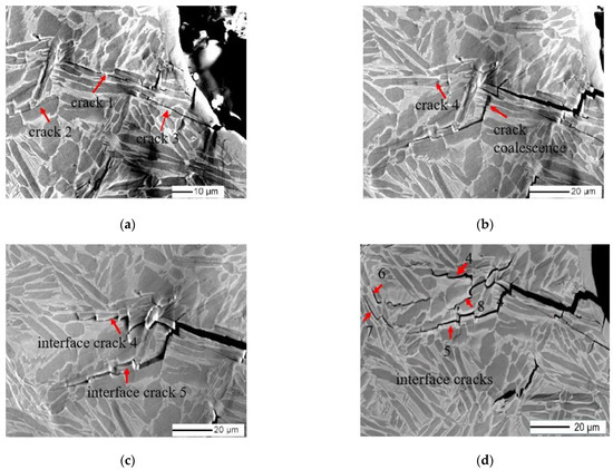 Low Cycle Fatigue Crack Damage Behavior of TC21 Titanium Alloy with Basketweave Microstructure