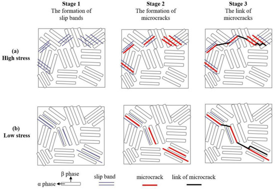 Low Cycle Fatigue Crack Damage Behavior of TC21 Titanium Alloy with Basketweave Microstructure