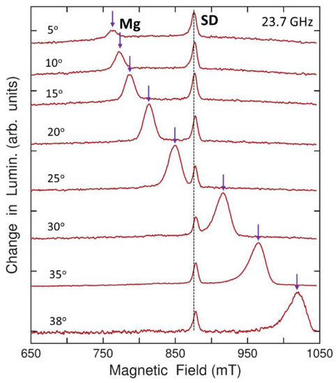 Characterization of Defects in GaN: Optical and Magnetic Resonance ...