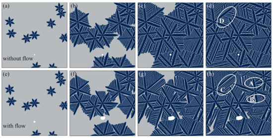 Simulation of Microstructure Evolution in Mg Alloys by Phase-Field ...