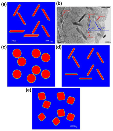 Simulation of Microstructure Evolution in Mg Alloys by Phase-Field ...