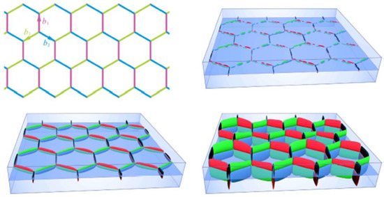 Simulation of Microstructure Evolution in Mg Alloys by Phase-Field ...