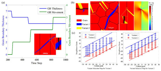 Simulation of Microstructure Evolution in Mg Alloys by Phase-Field ...