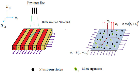 Gyrotactic Motile Microorganisms Impact on Pseudoplastic Nanofluid Flow over a Moving Riga ...