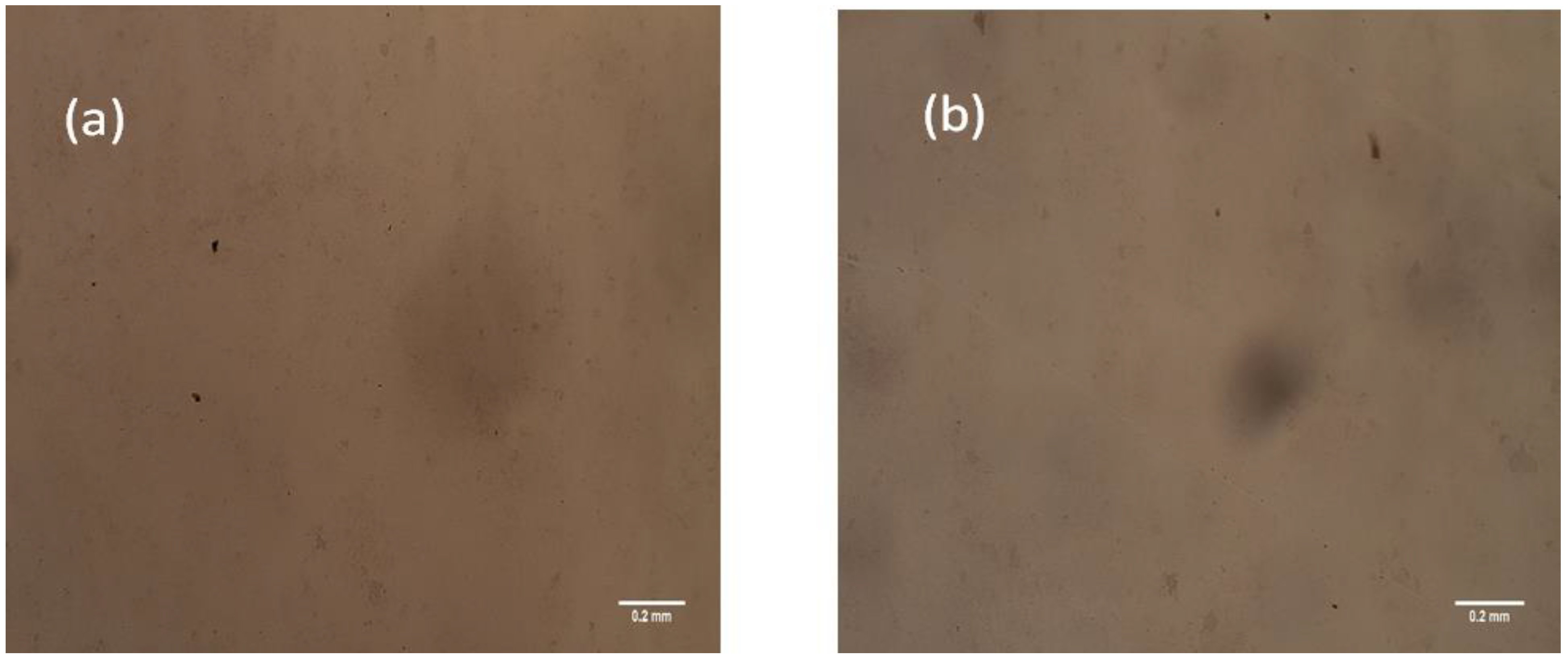 Electrical and Optical Characterization of Graphene Oxide and Reduced Graphene Oxide Thin Films