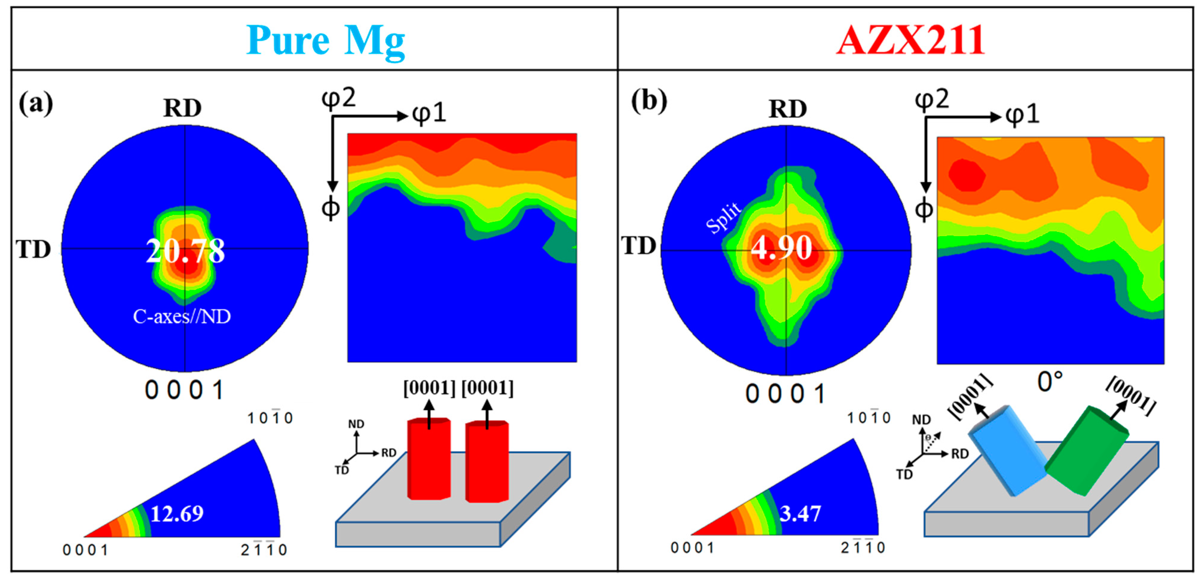 Investigating the Microstructure, Crystallographic Texture and ...