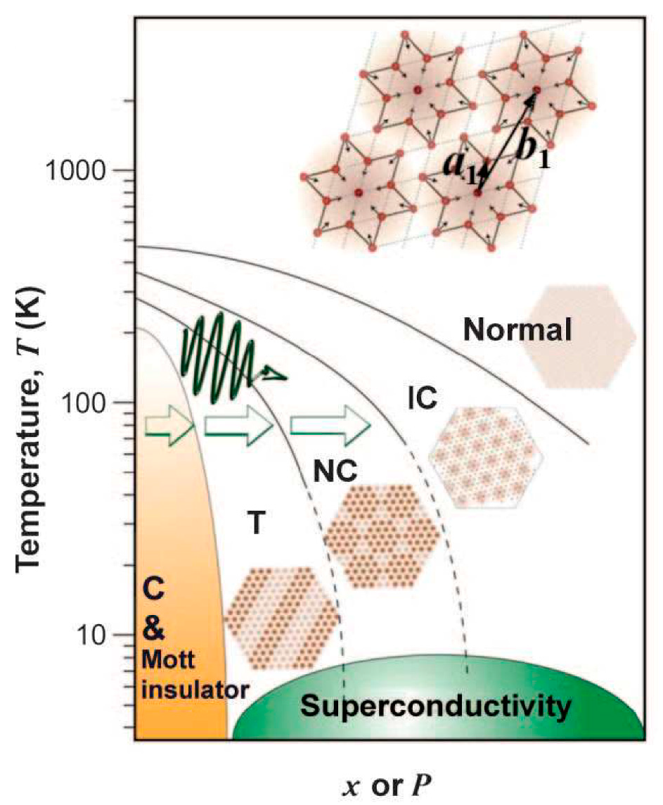 The Recent Progress of Two-Dimensional Transition Metal Dichalcogenides and Their Phase Transition