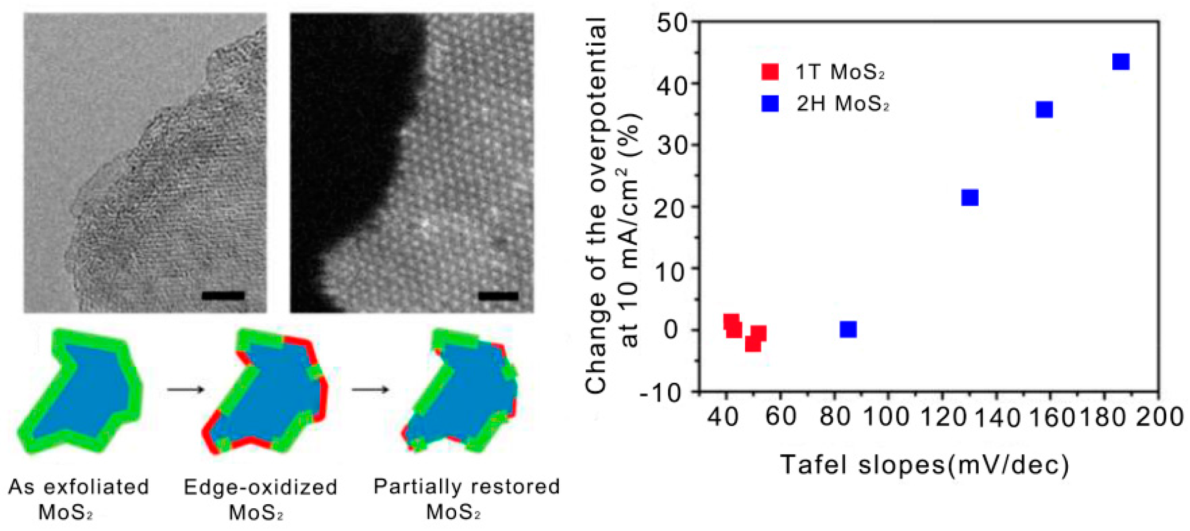 The Recent Progress of Two-Dimensional Transition Metal Dichalcogenides ...