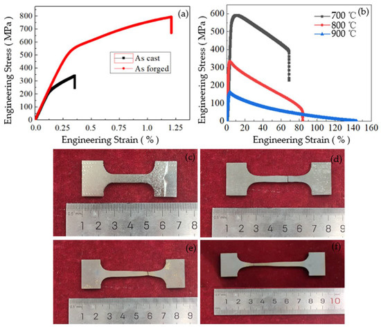 Mechanical and Physical Characterizations of a Three-Phase TiAl Alloy during Near Isothermal Forging