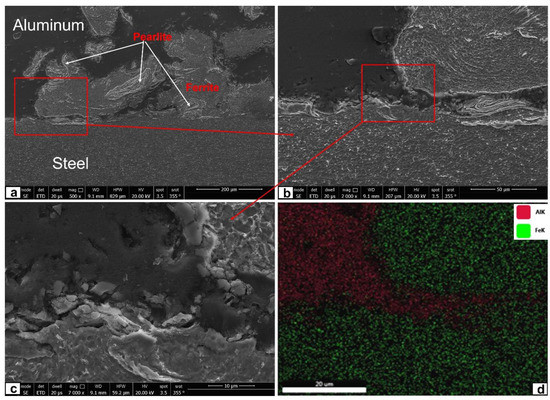 Free Intermetallic Cladding Interface between Aluminum and Steel through Friction Stir Processing