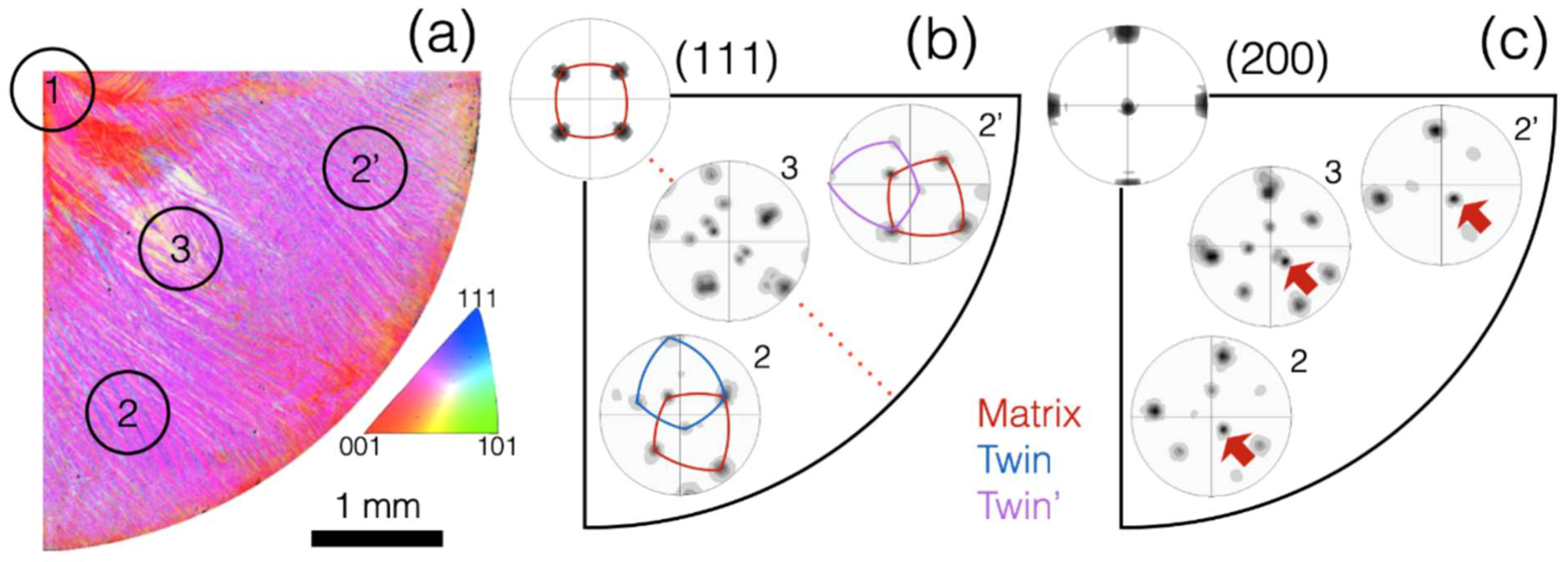 Texture Evolution of a Single Crystal Cu-8% at. Al Subjected to the ...