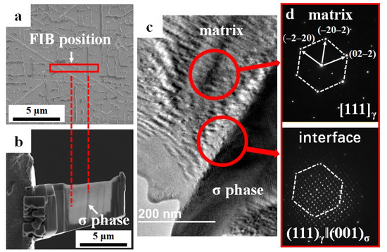 Topologically Closed Packed Phase and Its Interaction with Dislocation ...