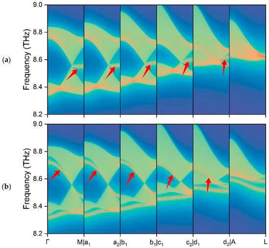 Coincident Nodal Line and Nodal Surface Phonon States in Ternary ...