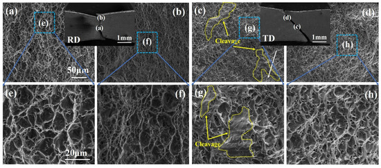 Quasi-In Situ EBSD Study of Anisotropic Mechanical Behavior and ...