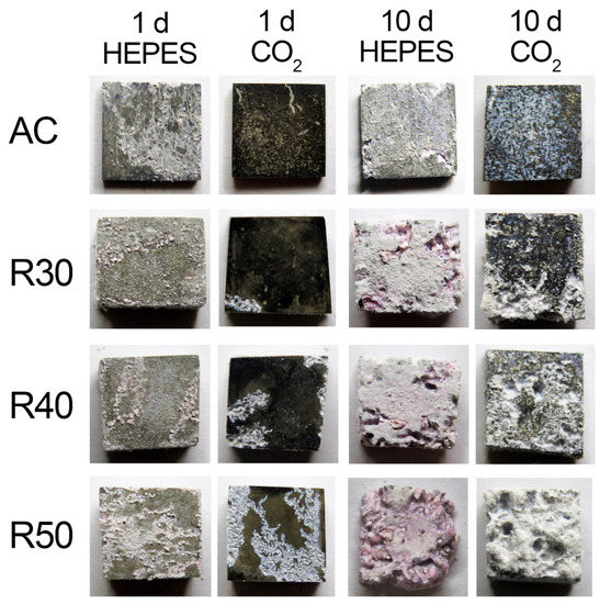 Crystals | Free Full-Text | Anomalous In Vitro Corrosion Behaviour of ...