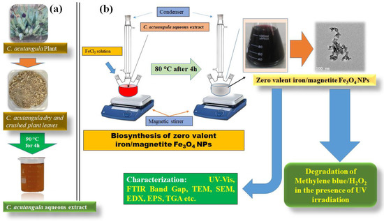 Biogenic Synthesis of Zero Valent Fe/Magnetite Fe3O4 Nanoparticles ...
