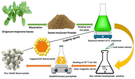 Green Synthesis of Zinc Oxide Nanocrystals Utilizing Origanum majorana ...